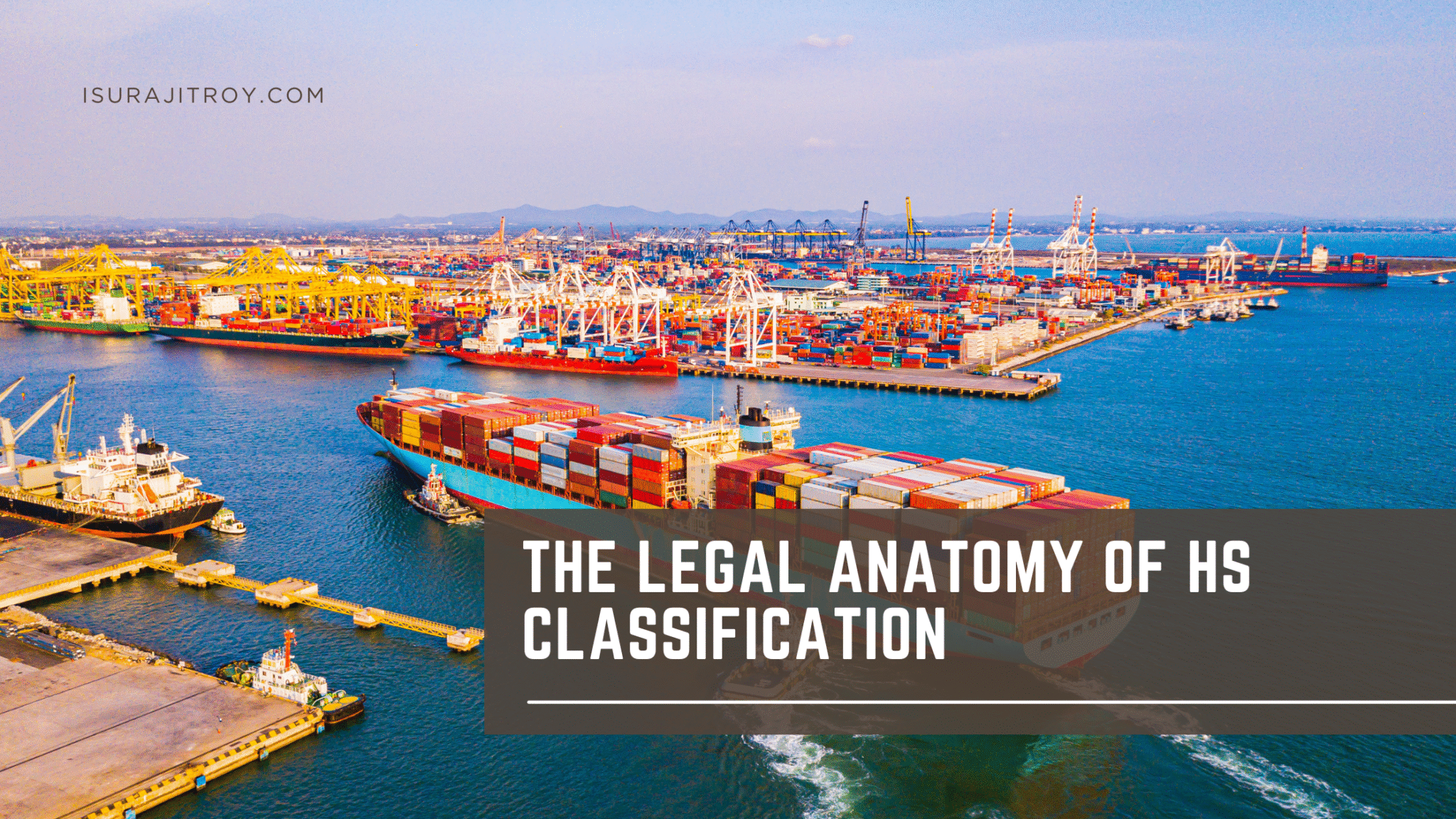 The Legal Anatomy of HS Classification – Surajit Roy